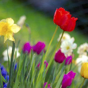 Image result for Vivaldi Spring Poem