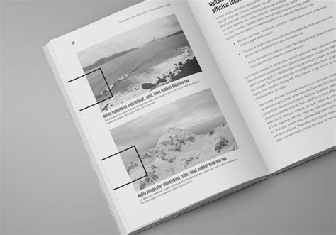 Image result for Adobe InDesign Book Design