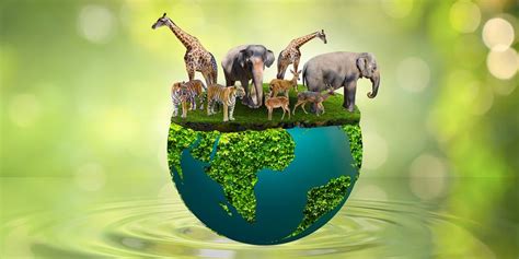 Image result for Biodiversity Science Projects