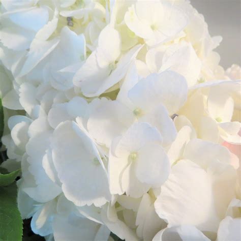 Image result for Traditional Flower Tutorial