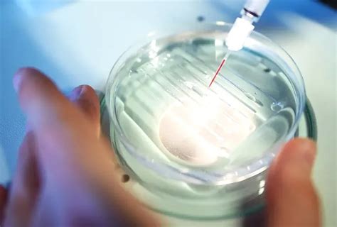 Image result for Crisper Editing Technology