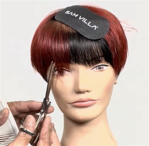 Image result for Sam Villa Hair Tutorial Braids