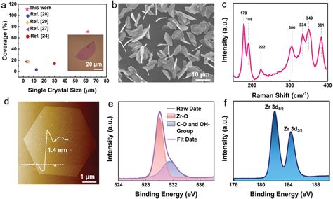 Image result for ZrO2 Morphology