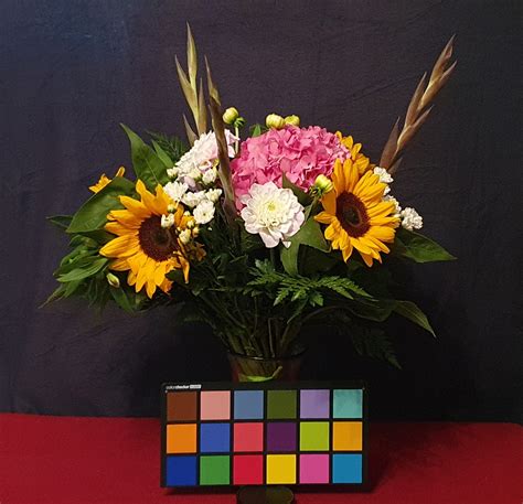 Image result for Phase One Multispectral