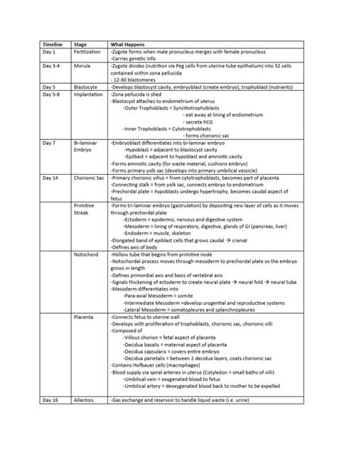 Embryology Timeline | PDF | Embryo | Reproduction