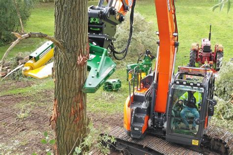 Image result for Tree Lopper Lift