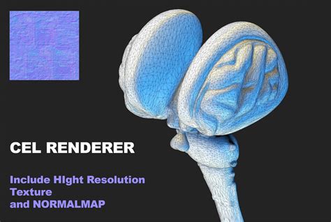 Image result for Brain Dissection