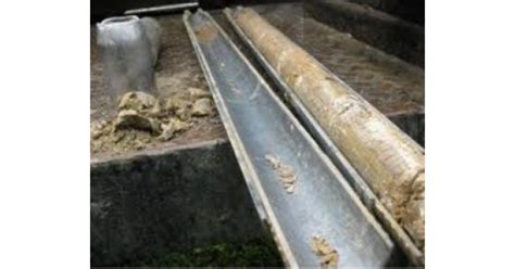 Image result for Split Spoon Sampler Use