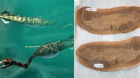 Image result for Alien Animals Found