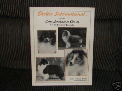 Image result for Sheltie Color Chart