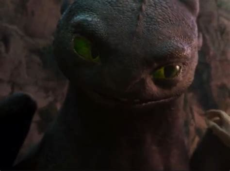 Image result for Toothless in Real Life