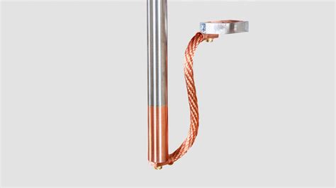 Image result for Lizard Trap Cold Storage