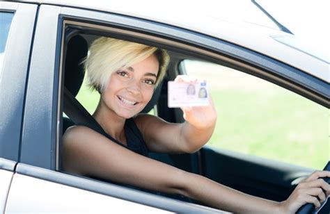 Image result for Code EC Drivers Licence