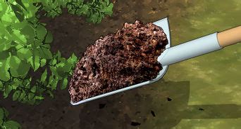 Image result for How Do You Build a Compost Pile