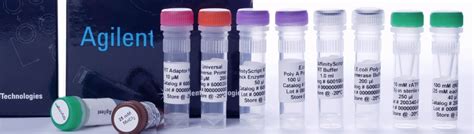 Image result for RT-PCR Master Mix