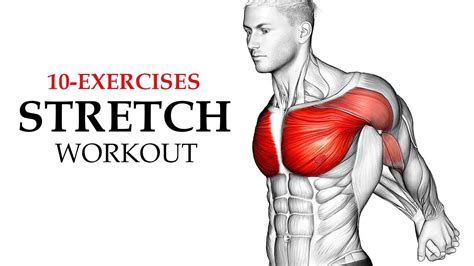 Image result for Daily Exercise for Beginners