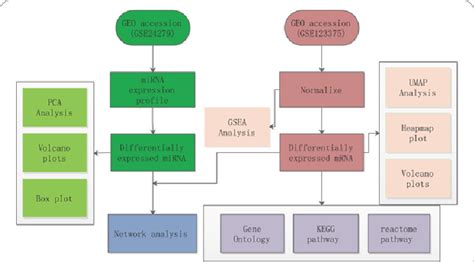 Image result for Computer Data Analysis