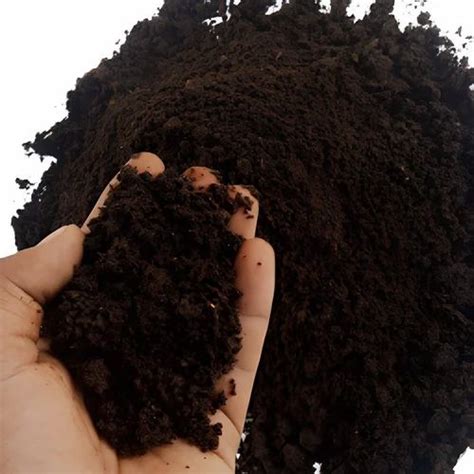 Image result for Humus Fertilizer