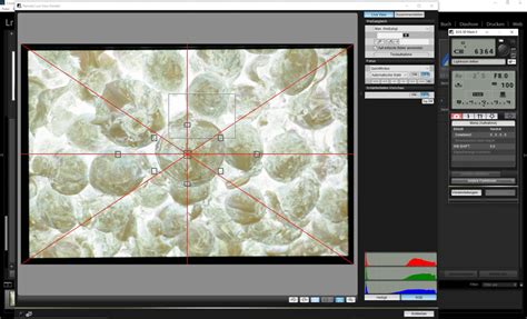 Image result for Image Lab Negative Scanner