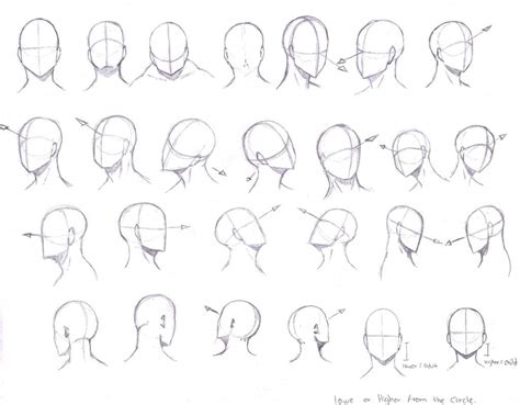 Image result for Head Shape Tutorial