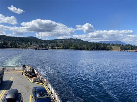 Image result for Fever Tree Salt Spring Island