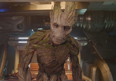 Image result for Groot Information