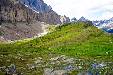 Image result for First Interview Bruce Perry