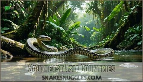 Image result for Reticulated Python Range