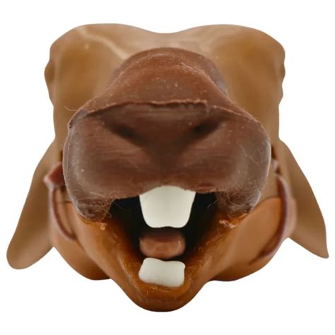 Image result for Rabbit Intubation