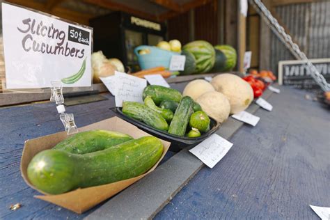 Image result for Very Small Farm Setup