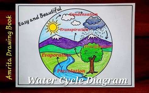 Image result for Water Cycle Step by Step Drawing