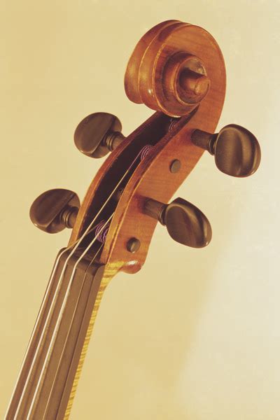 Image result for One String Instrument Free