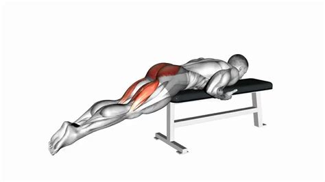 Image result for Reverse Hyper How To