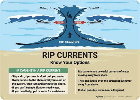 Image result for Identifying Rip Currents