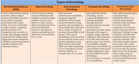 Image result for Dynamic Stretching Chart