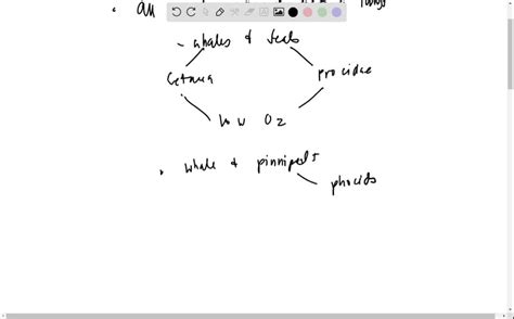 Image result for Morphological Convergence Examples