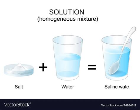 Saline Water Experiment Diagram on VectorStock