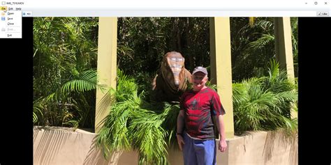 Image result for How to Open Files Without Software