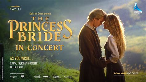Image result for Princess Bride Movie Cover Art