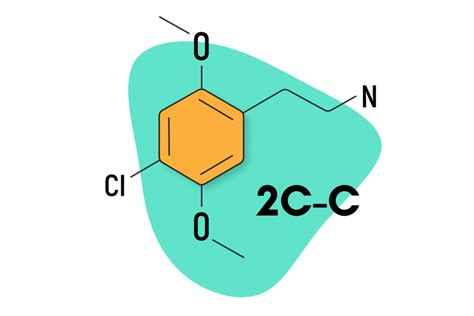 Image result for Pro Comp LSD