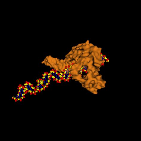 Image result for Labmesh