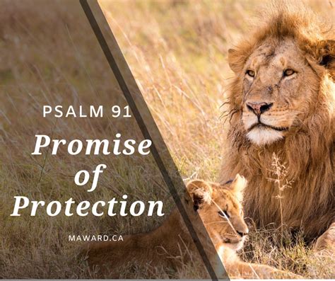 Image result for Psalm 91 Protection