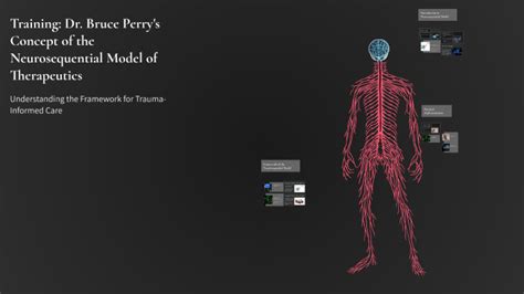 Image result for Bruce Perry Neurosequential Model