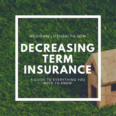 Image result for Decreasing Term Life Insurance