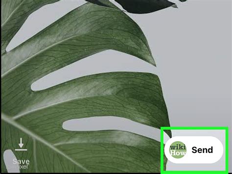Image result for How to Send Photo Using Messenger