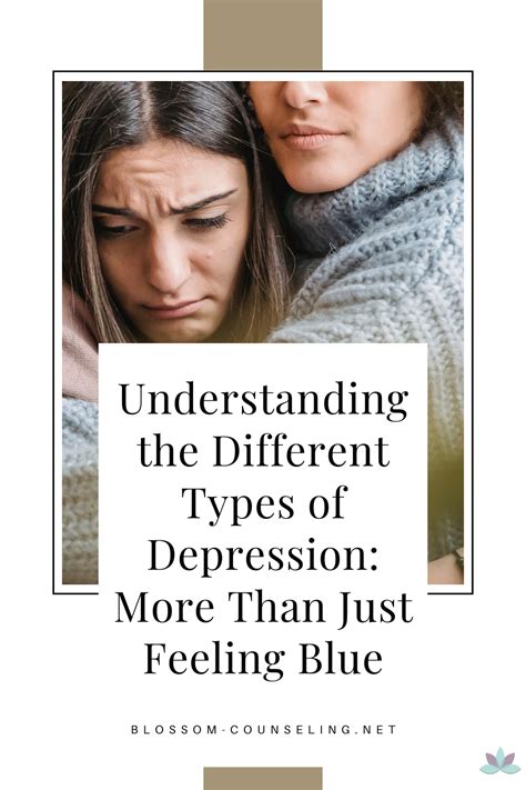 Image result for Different Depression Types