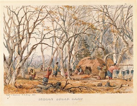 Image result for Native American Maple Syrup