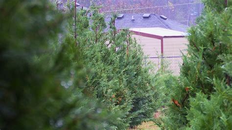 Image result for Golf Course Closing