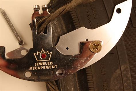 Image result for Pear Rust Circle