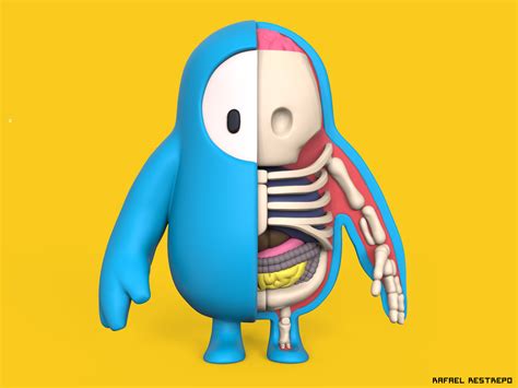 Image result for Fall Guys Bone Structure